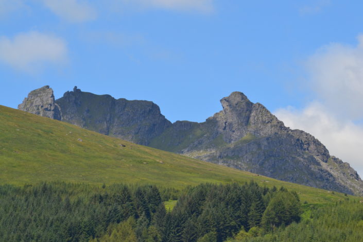 cobbler colour